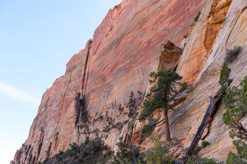 Training for Offwidth Climbing | EVO Rock + Fitness