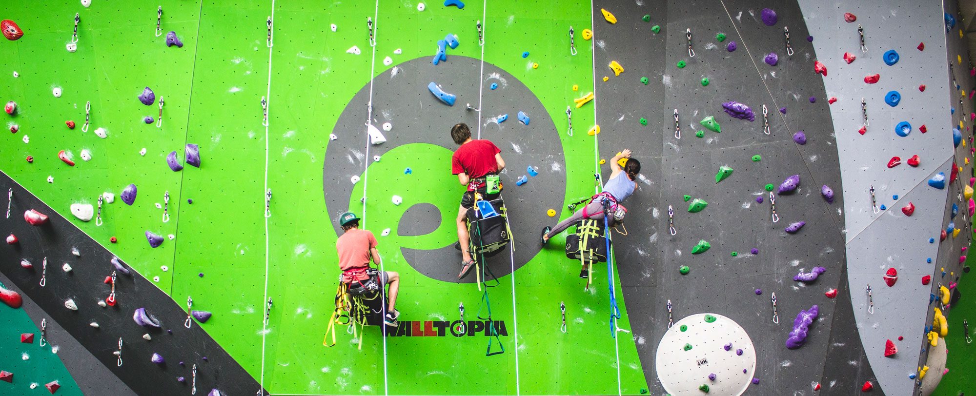 web_alexandra_setting_leadwall | EVO Rock